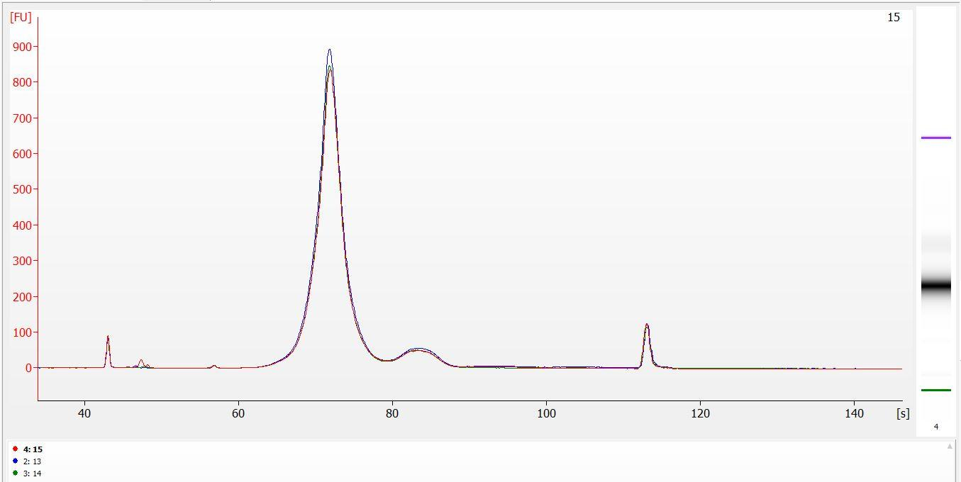 Why do I see larger peaks in my cfDNA library amplification? | Twist Bioscience