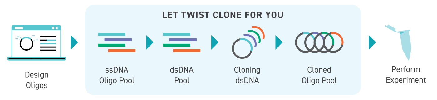 Oligo Pools for High Throughput Screens - Twist Bioscience