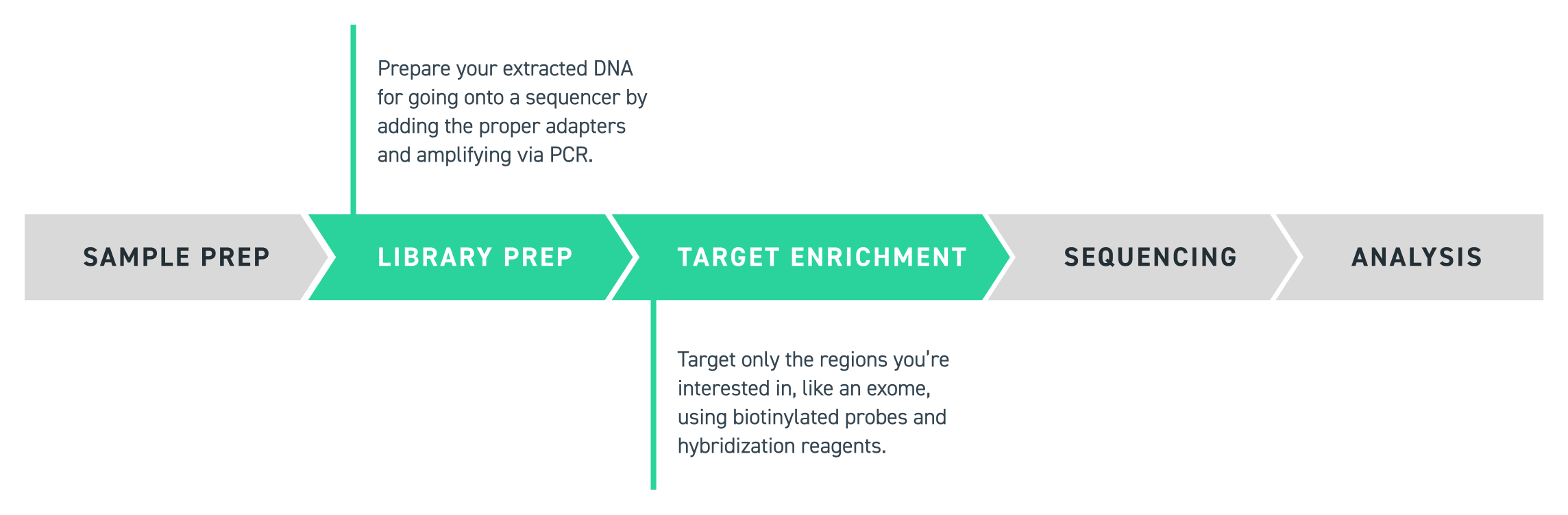 Whole Exome Sequencing | Twist Bioscience