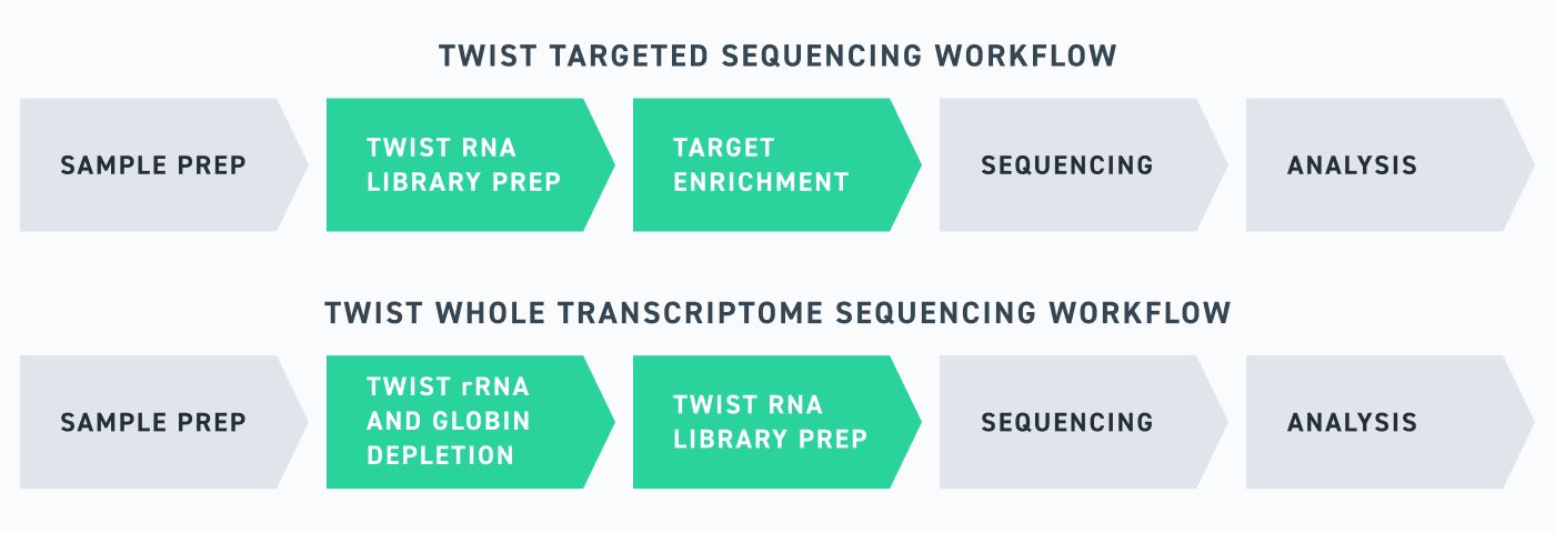 Unleashing the Power of RNA-seq | Twist Bioscience