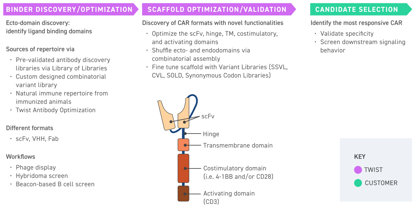 Combinatorial Assembly Libraries - Twist Bioscience