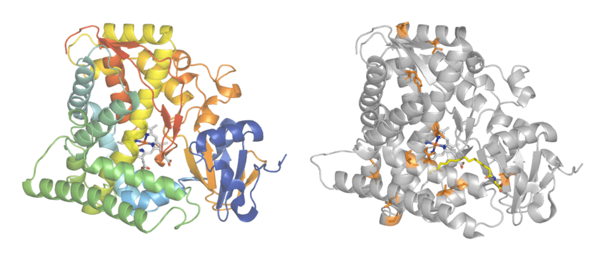 Designer Enzymes with Beneficial Properties Generated Using Twist ...